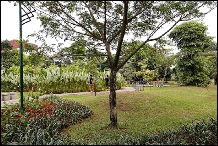 Contoh Surat Pengajuan Permohonan Pemangkasan Pohon - Surat permohonan ... Contoh Surat Pengajuan Permohonan Pemangkasan Pohon - Surat permohonan ...